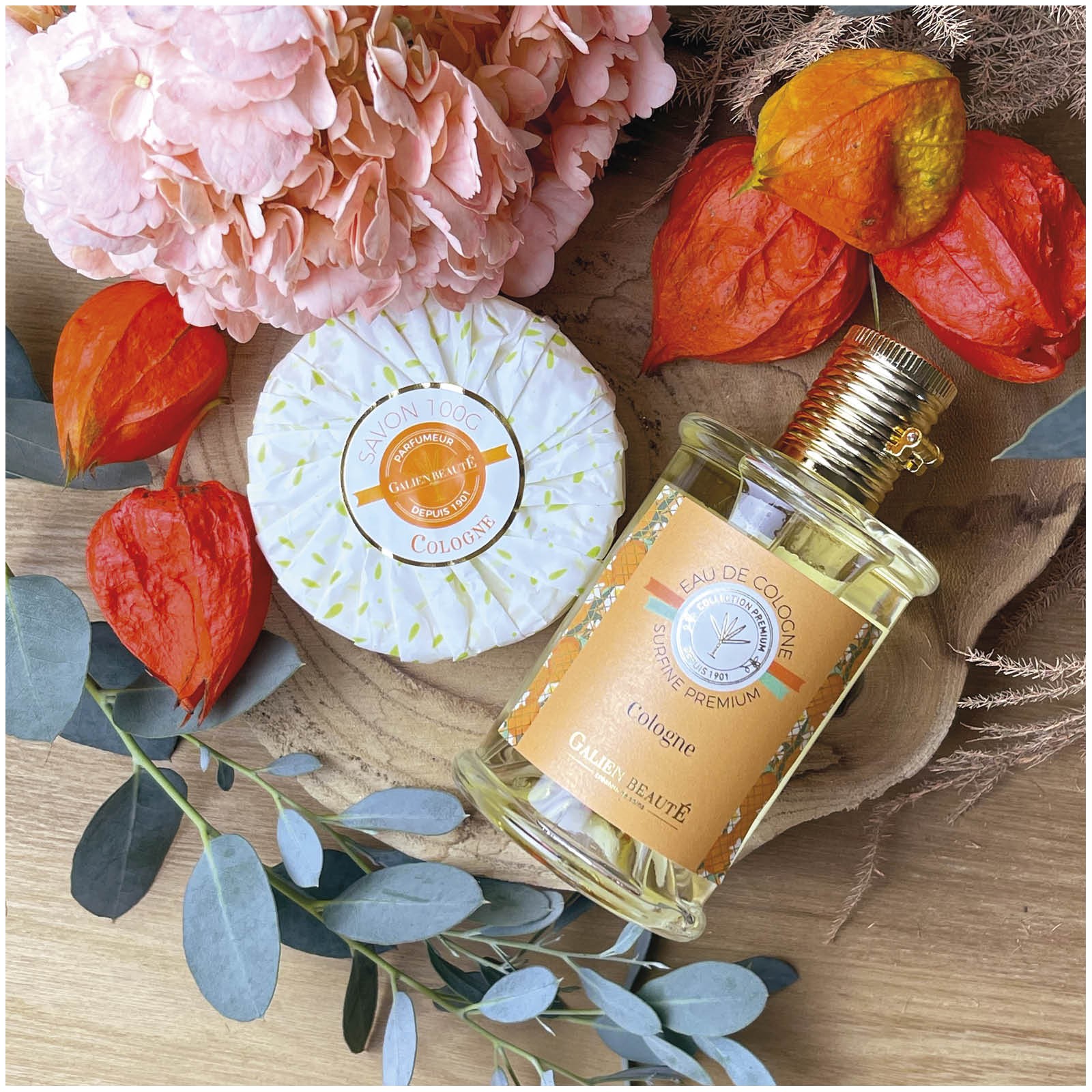 Coffret Shiso Magique dans Coffrets cadeaux ... pour les plus grands ...